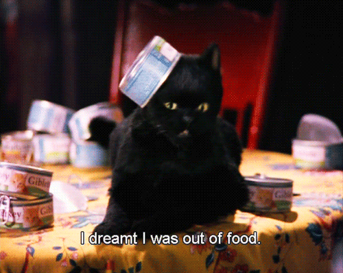 Sabrina, the Teenage Witch Salem GIFs | PS Entertainment