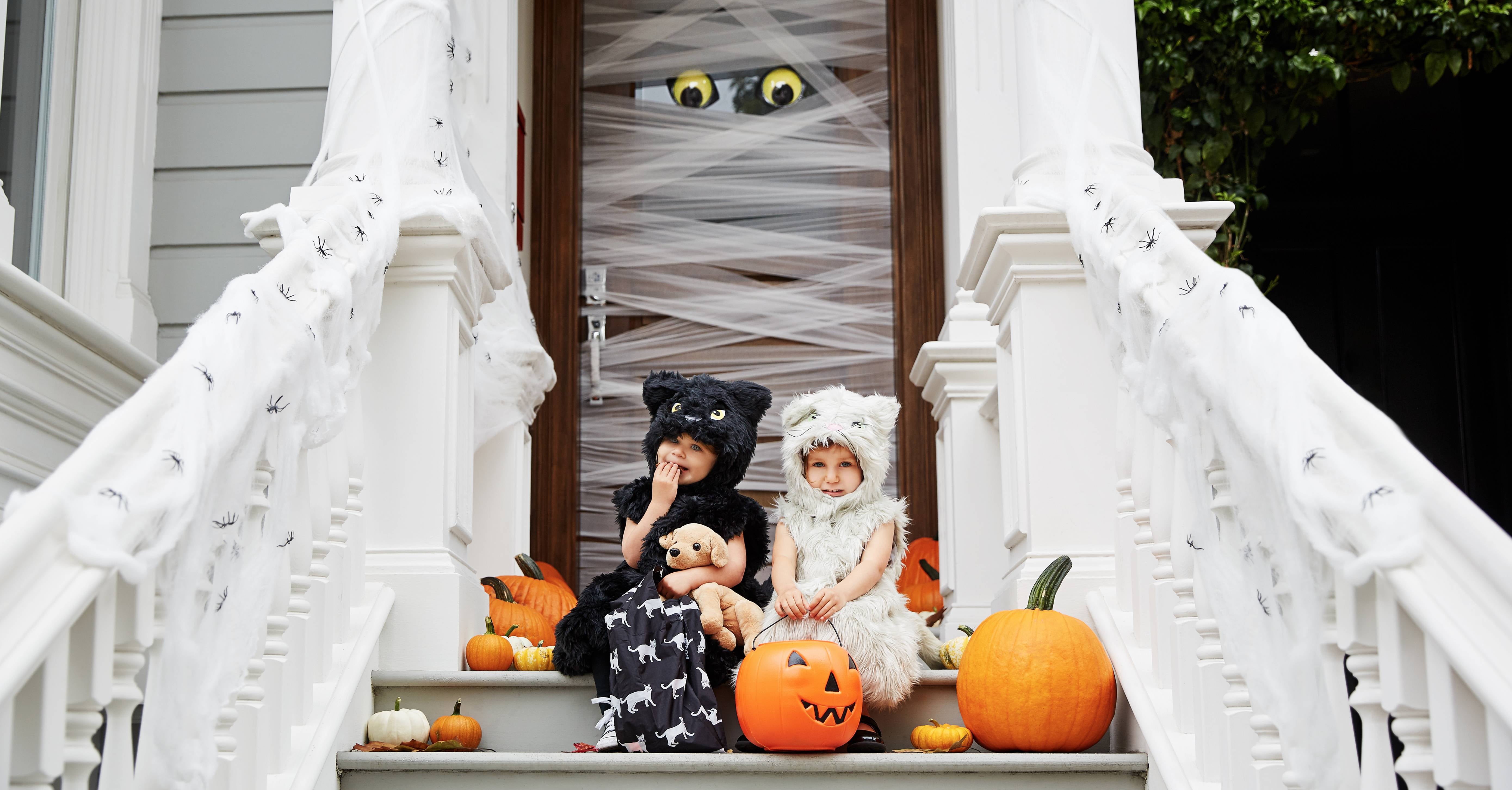 Cheap Halloween Costumes For Kids | PS Family