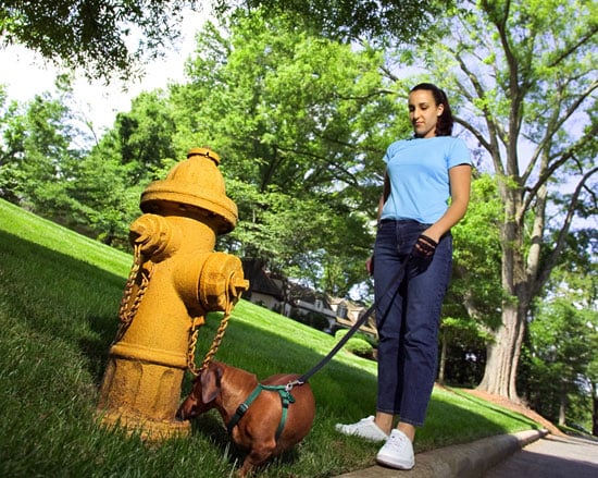 Poop | POPSUGAR Pets