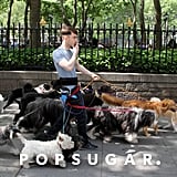 Daniel Radcliffe With Dogs on the Set of Trainwreck | POPSUGAR Celebrity