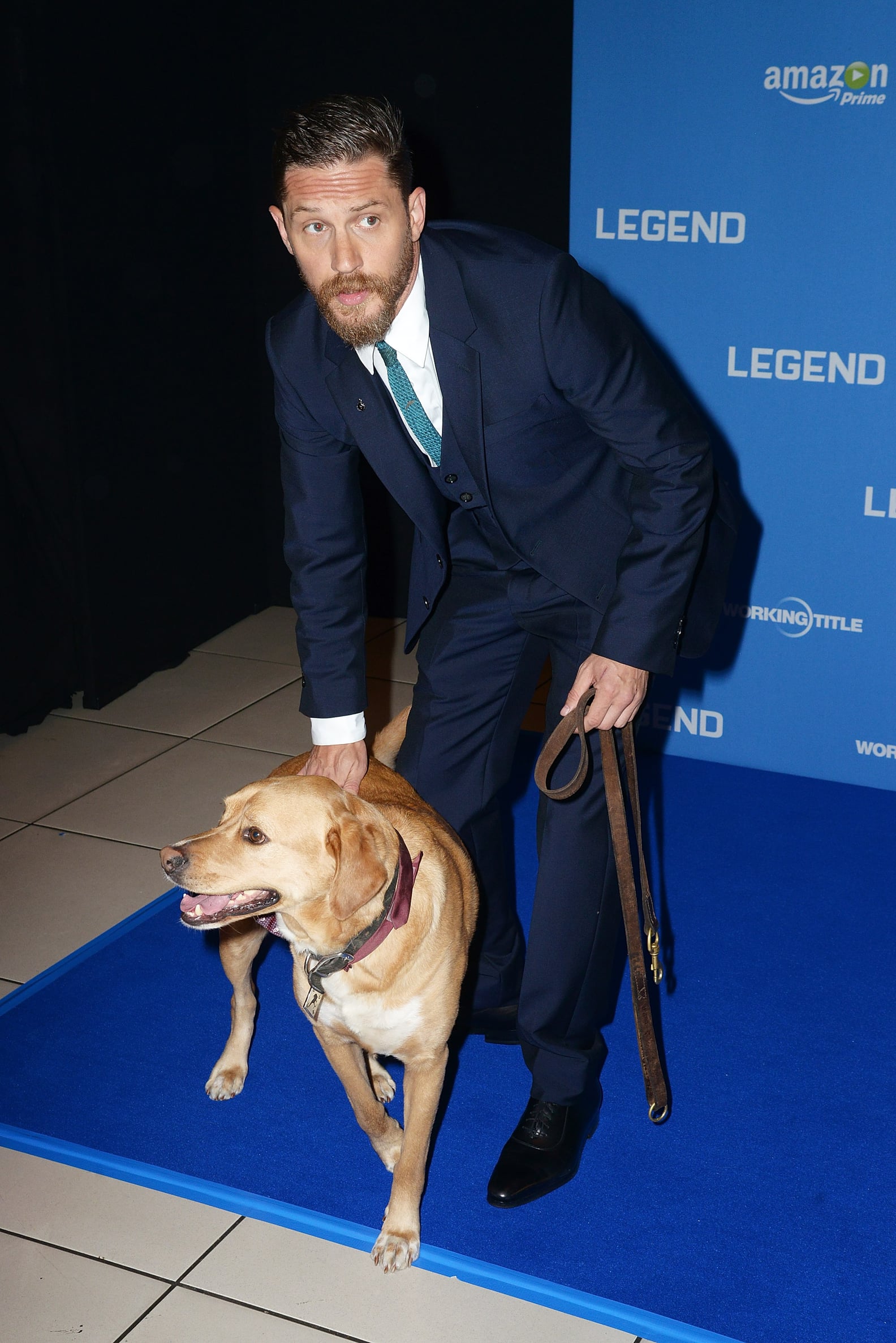 Tom Hardy's Dog at Legend Premiere | PS Pets