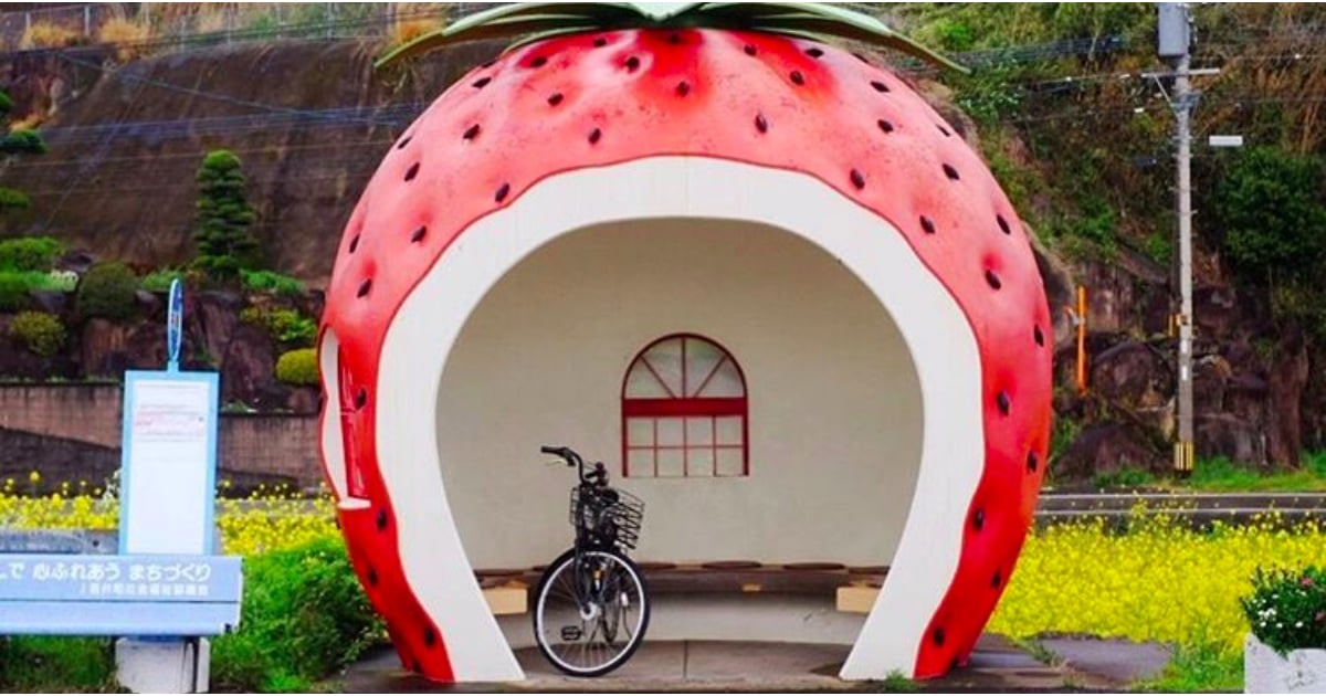 Fruit Bus Stops in Konagai, Japan | POPSUGAR Smart Living
