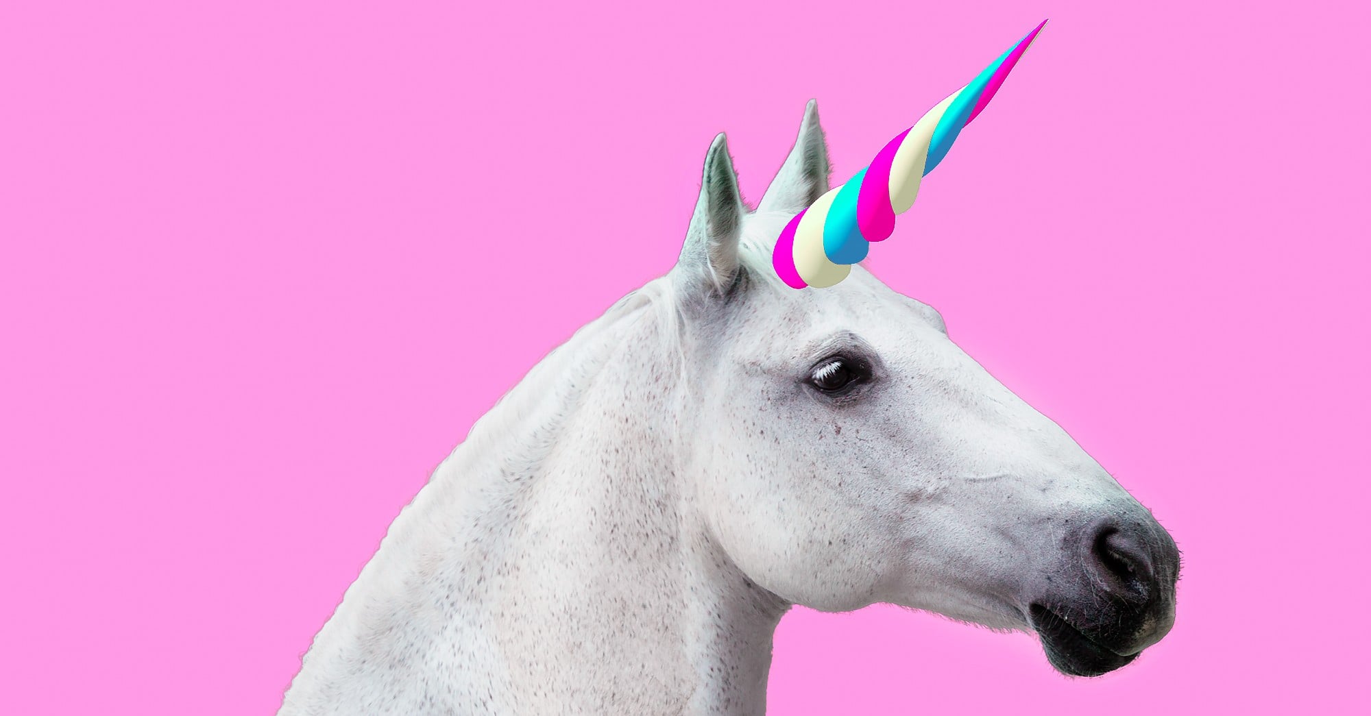 Best Creative Design and Aesthetic Trends 2018 | PS News