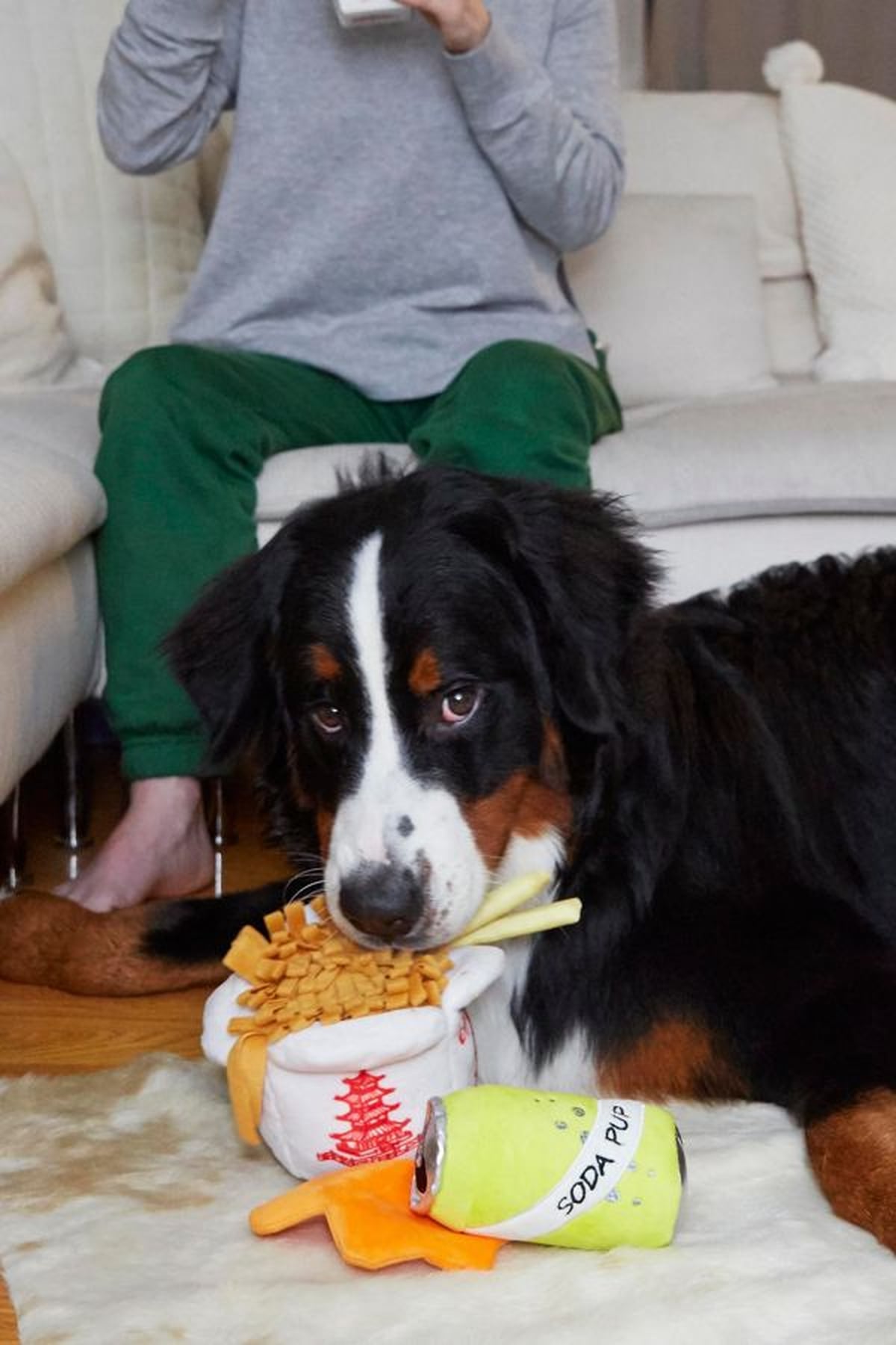 Best Pet Toys at Urban Outfitters | PS Family