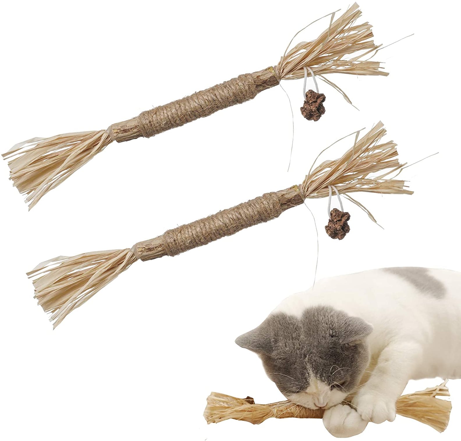 Shop These Chew Toys For Cats That Promote Good Oral Health | PS Pets