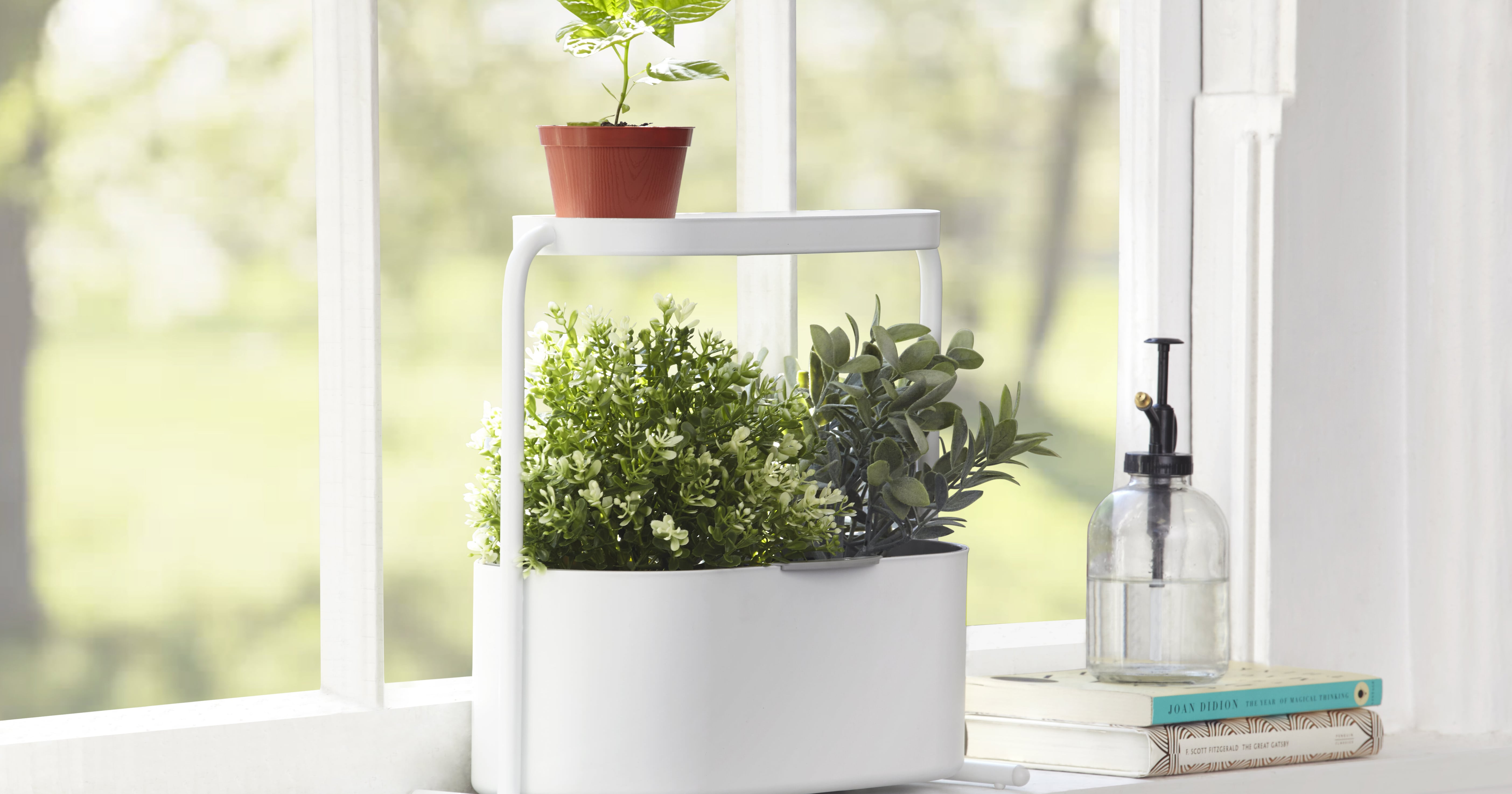 The Best Indoor Garden Kits | PS Home