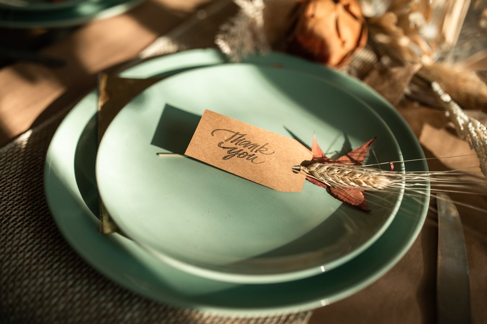 Download Free Thanksgiving Zoom Backgrounds | PS Tech
