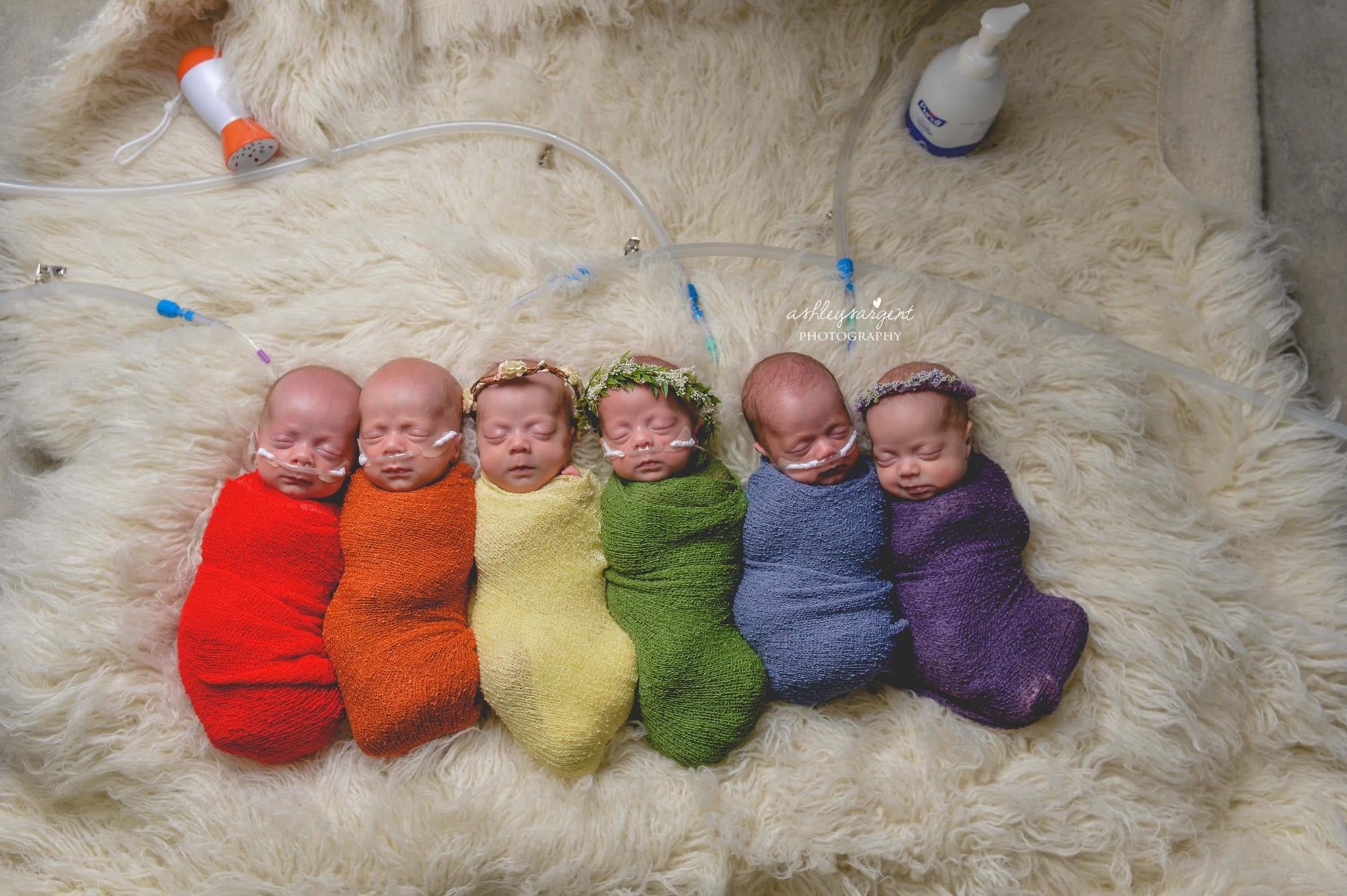 Rainbow Sextuplets Photo Shows Babies' Birth Order | PS Family