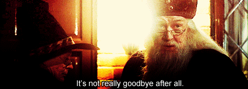 Harry Potter Movie GIFs | PS Entertainment