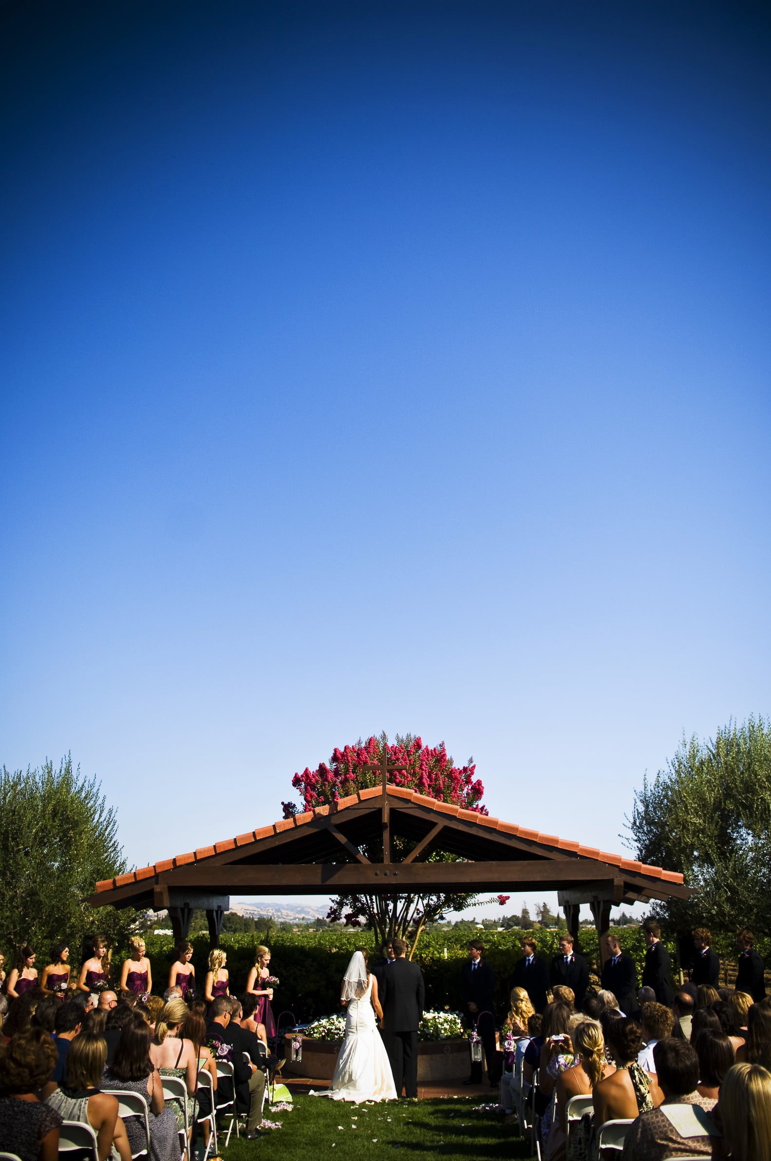 Vineyard Wedding Ideas | PS Love