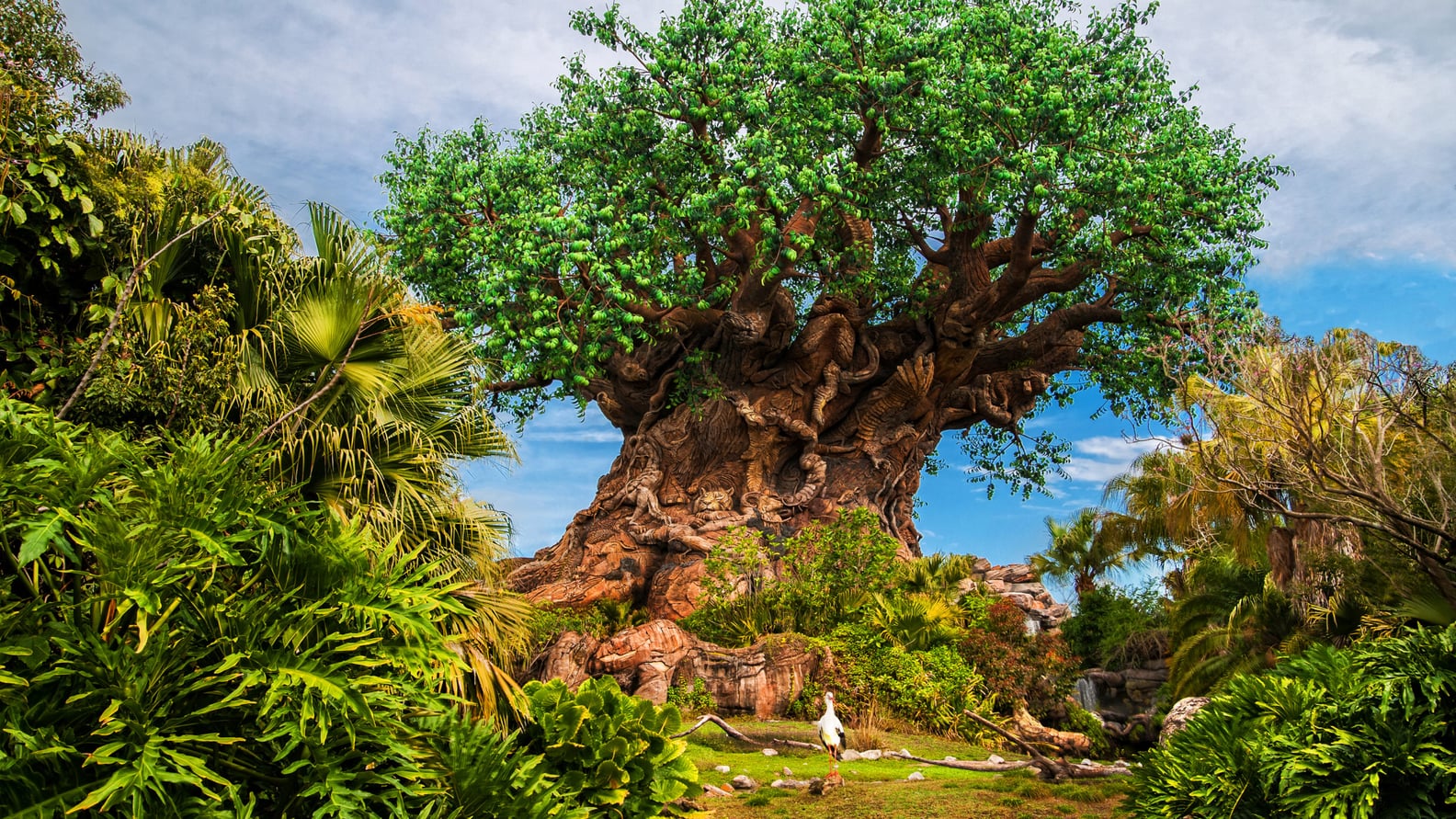 Ways Disney Parks Are Becoming More Sustainable | PS Smart Living