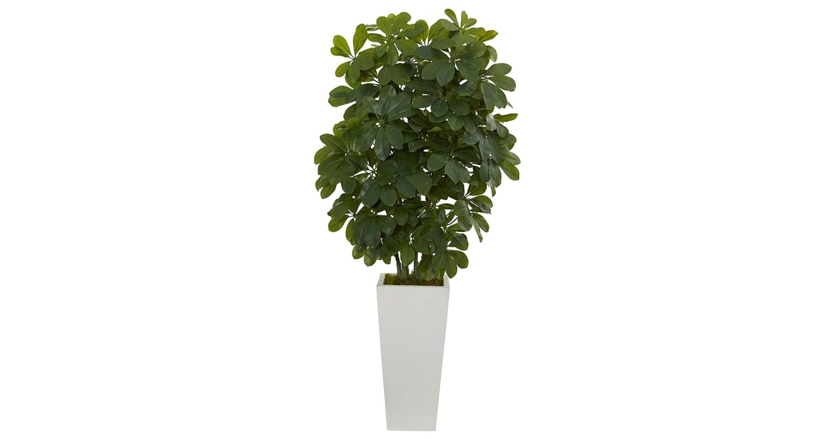 Nearly Natural Artificial Schefflera Plant | Best Fake Plants That Look ...