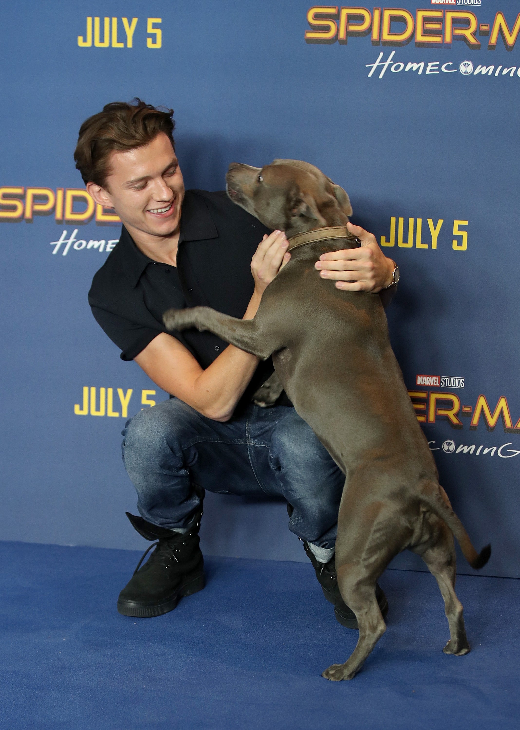 Tom Holland With His Dog Pictures | PS Celebrity