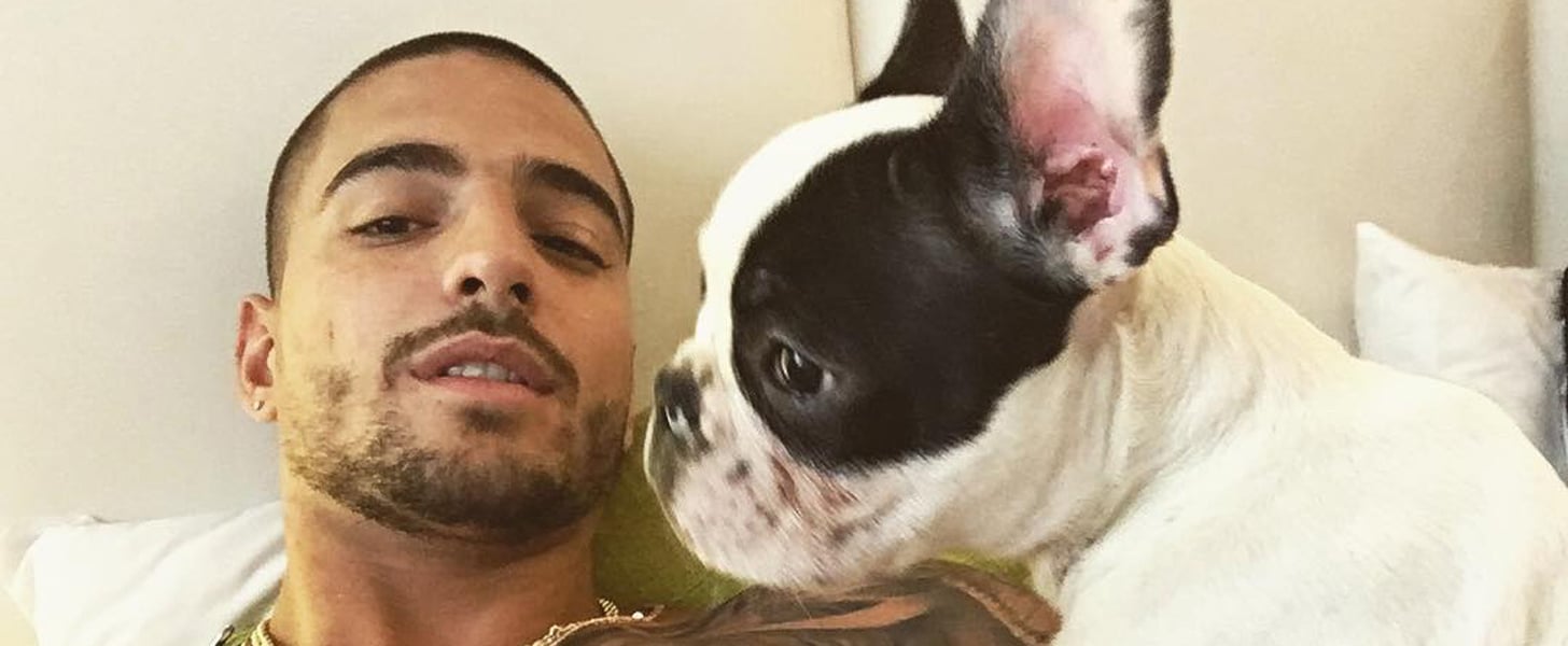 Maluma's Dog, Priti | PS Latina