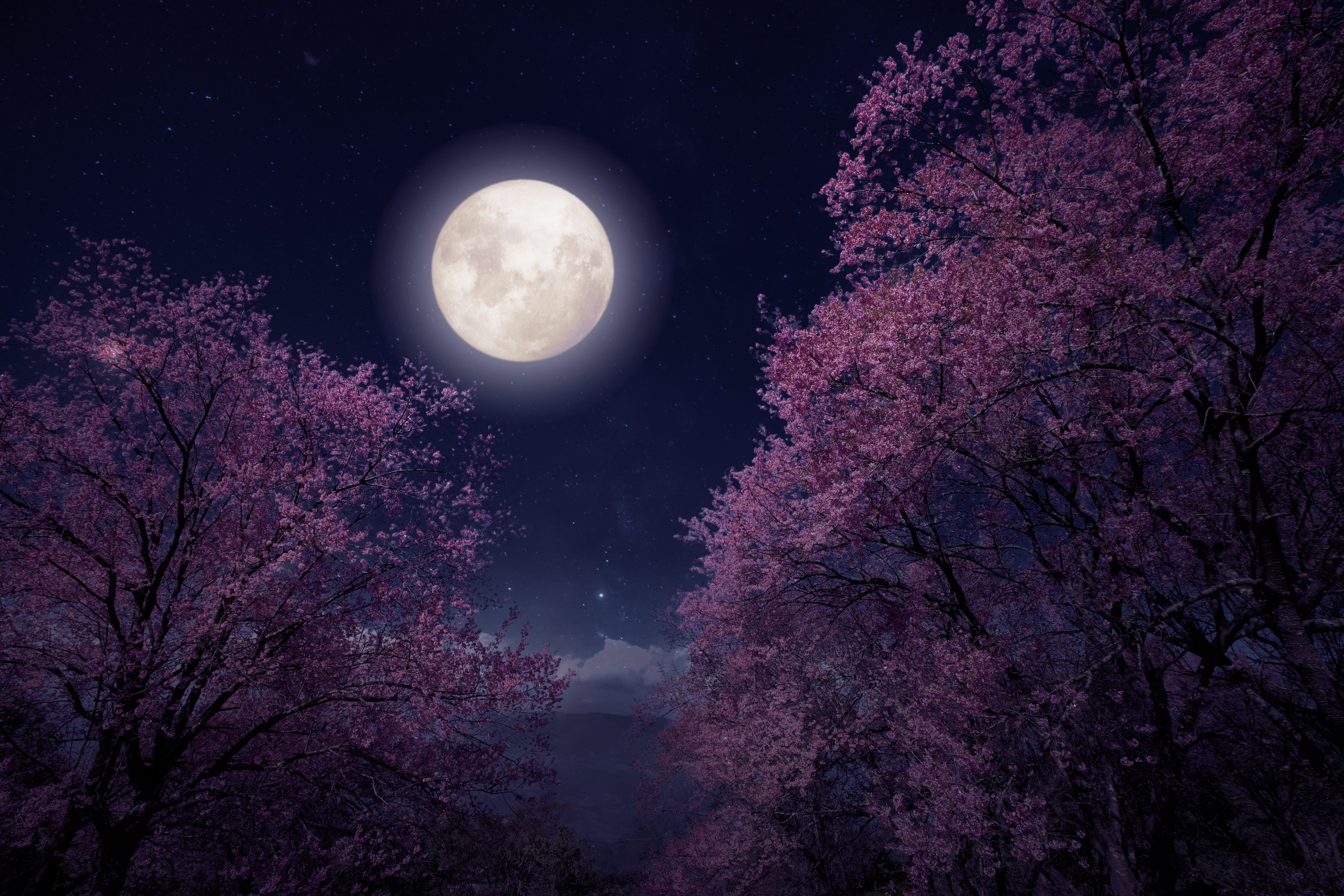 may flower moon