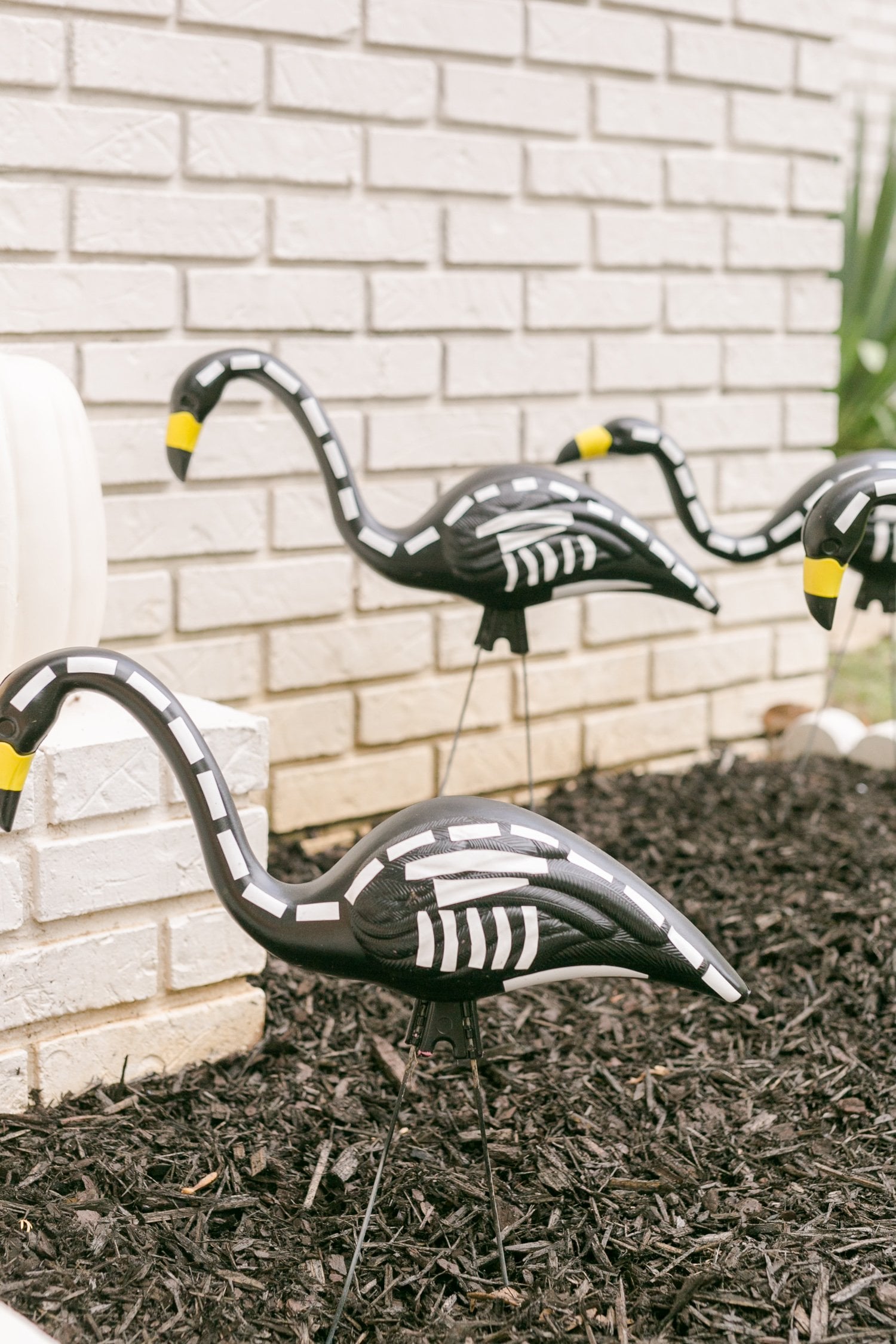 These Skeleton Flamingos Are Scary Easy to DIY For Halloween | POPSUGAR ...