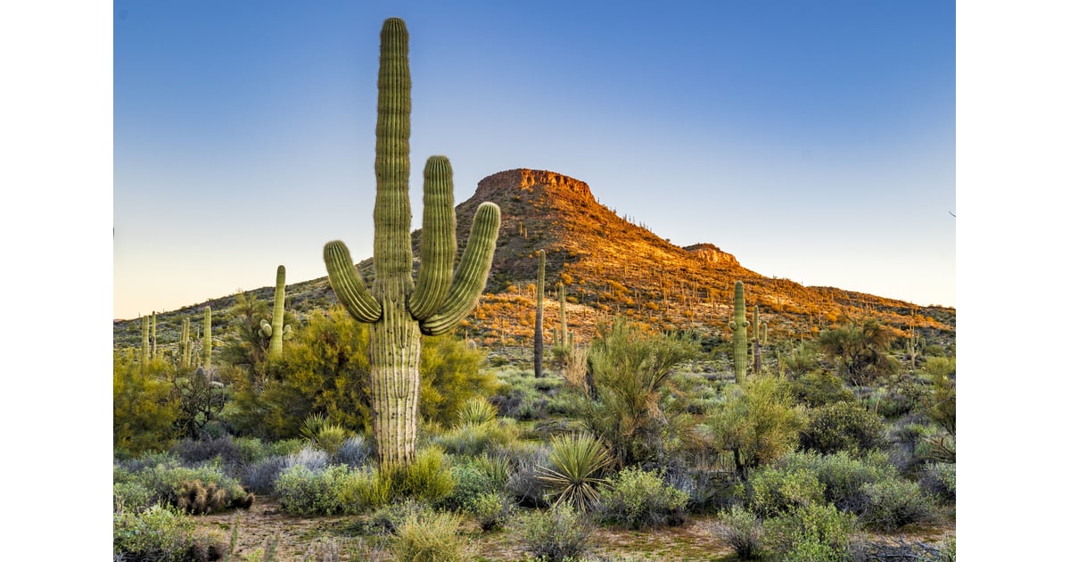 Scottsdale AZ Best Spring Break Deals For Families POPSUGAR UK scottsdale-az-best-spring-break-deals-for-families-popsugar-uk