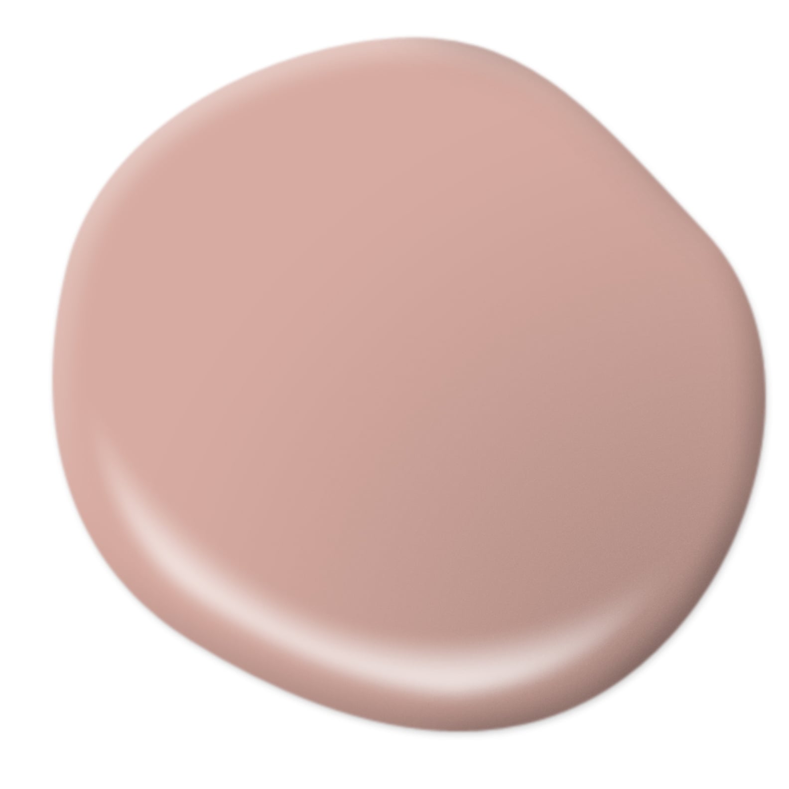 Millennial Pink Paint | PS Home
