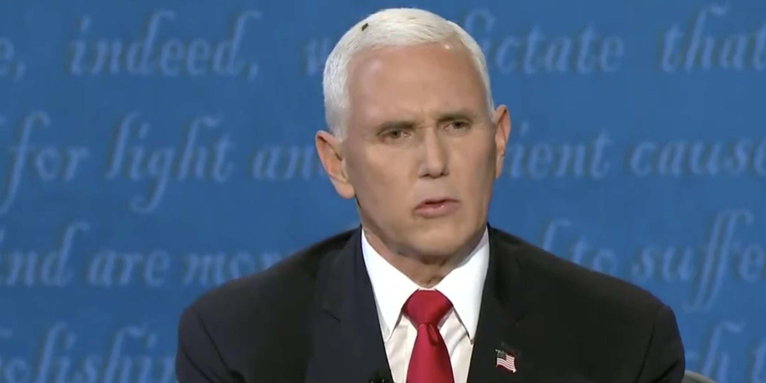 Fly Lands on Mike Pence's Head Vice Presidential Debate | PS News