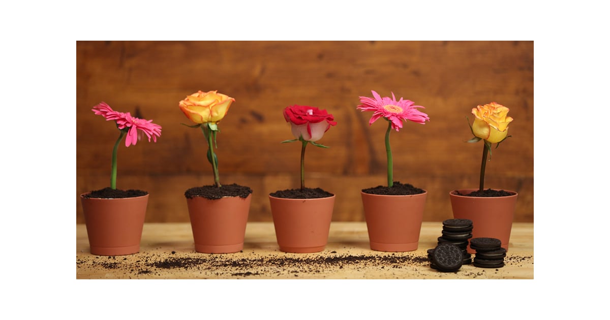 Flower-Pot Dessert | POPSUGAR Food