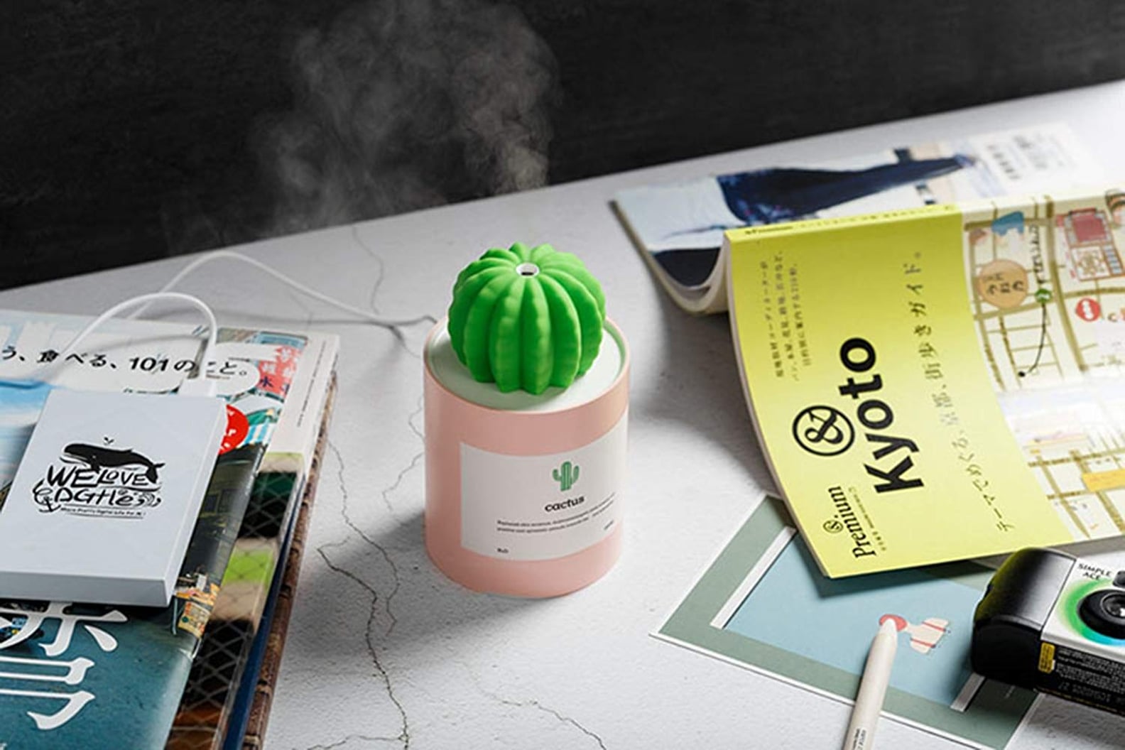 Portable Cactus Humidifier | PS Smart Living