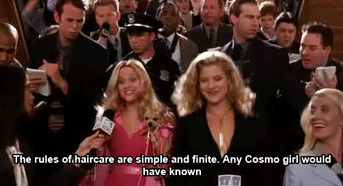 Legally Blonde GIFs | PS Entertainment