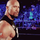 Dwayne Johnson Eyebrow Raise GIFs and Pictures | POPSUGAR Celebrity
