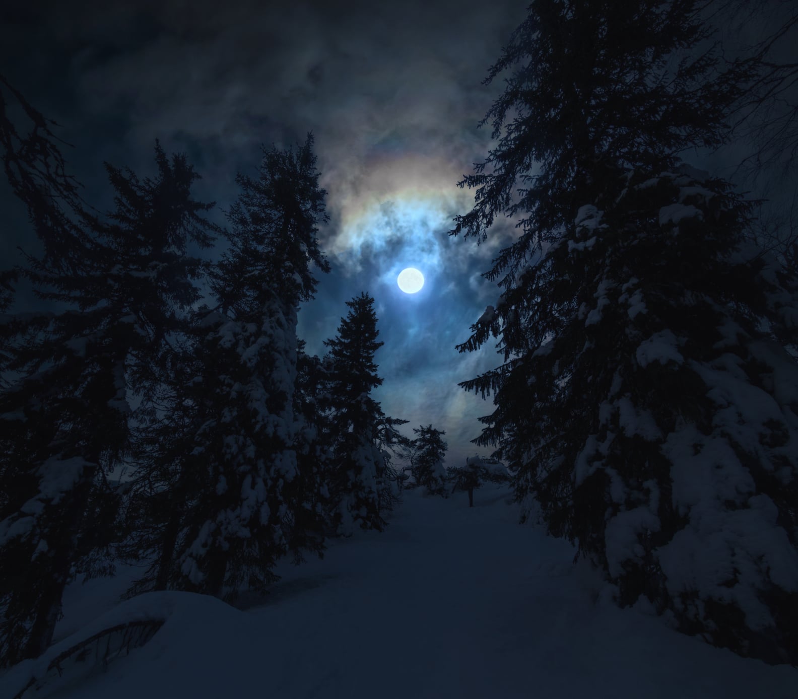 The 3 Signs Most Affected by the November Frost Moon | PS UK Astrology