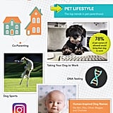 2017 Dog Trends | POPSUGAR Pets