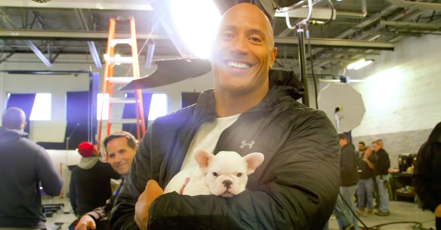 Dwayne Johnson Playing With Puppies Video | POPSUGAR Celebrity