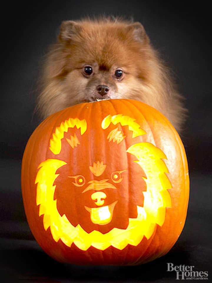 Downloadable Dog Breed Pumpkin Stencils | PS Pets