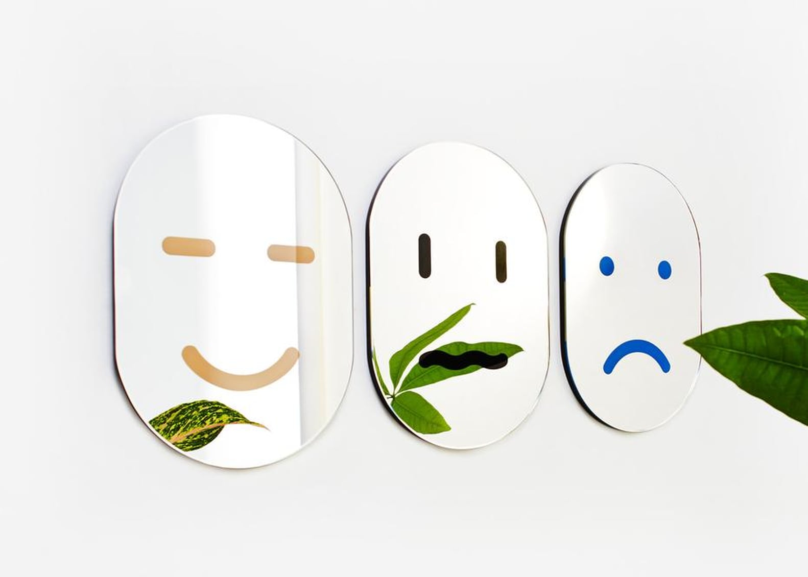 Best and Coolest Products From Areaware | POPSUGAR Smart Living