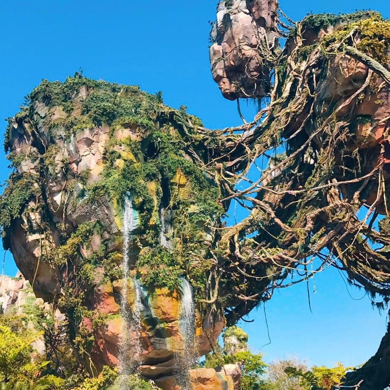 World of Avatar Photos | PS Smart Living