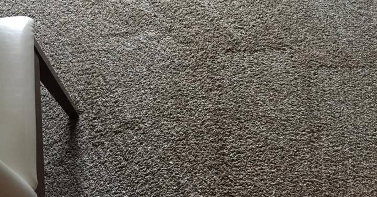 What a Mom Learned From Carpet Lines | PS Family