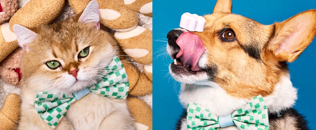 POPSUGAR - | POPSUGAR Pets