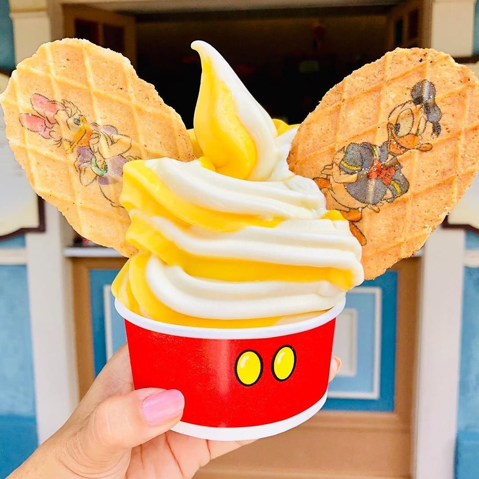 Disney World Waffle Wafer Topper Cookies | PS Food