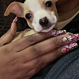 Lizzo's Crew Member Adopts a Rescue Puppy While on Tour | POPSUGAR Pets