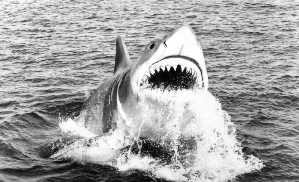 Jaws: The Revenge | New Movies and TV Shows on Netflix February 2019 ...