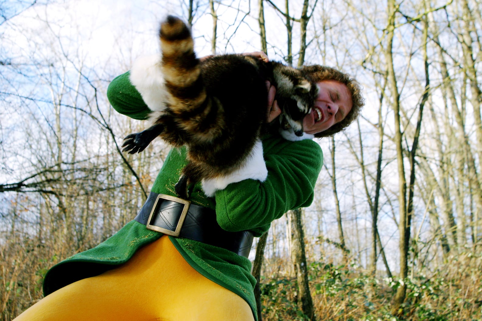 62 Best Quotes From Elf to Spread Christmas Cheer | PS Entertainment