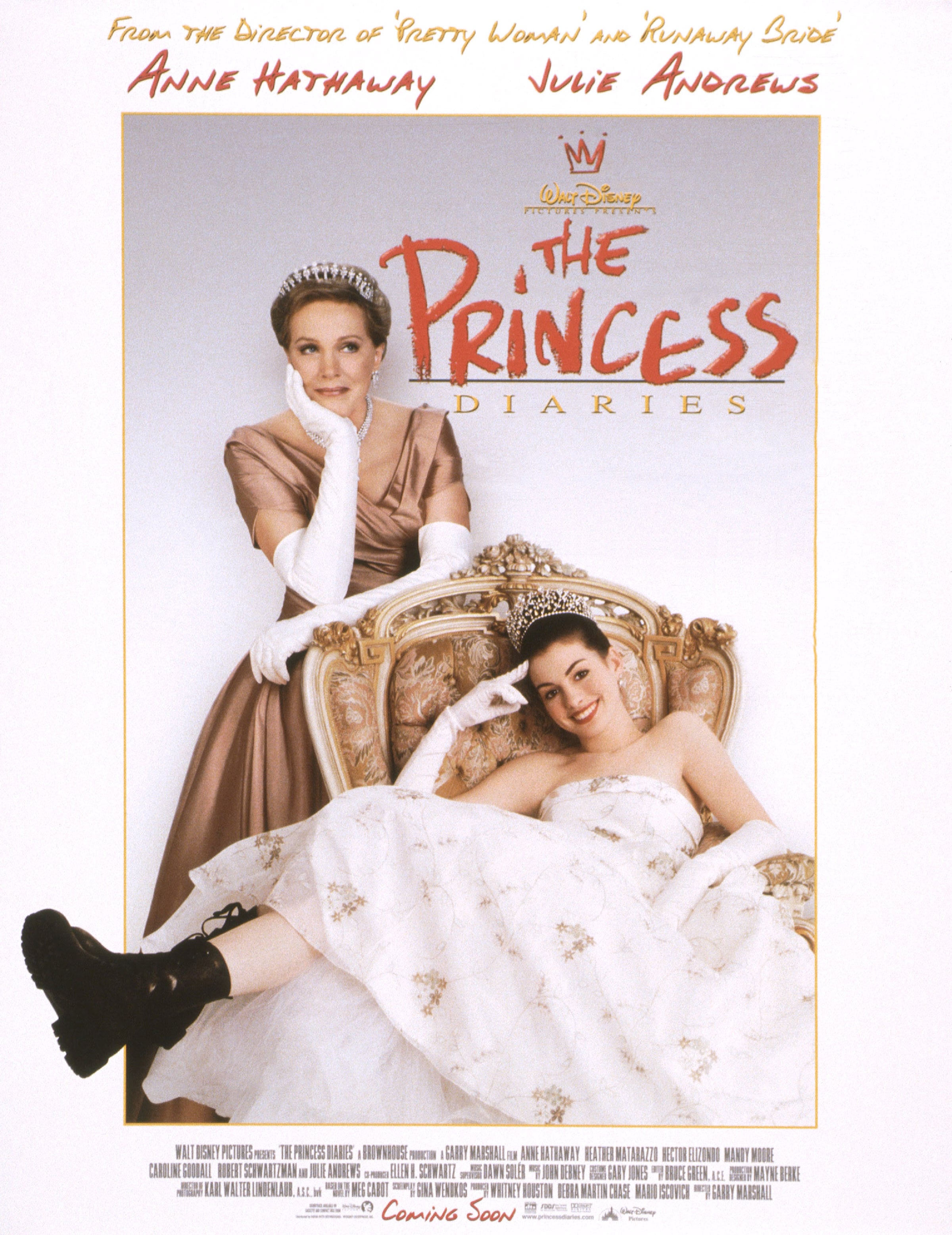 Princess Diaries Gown