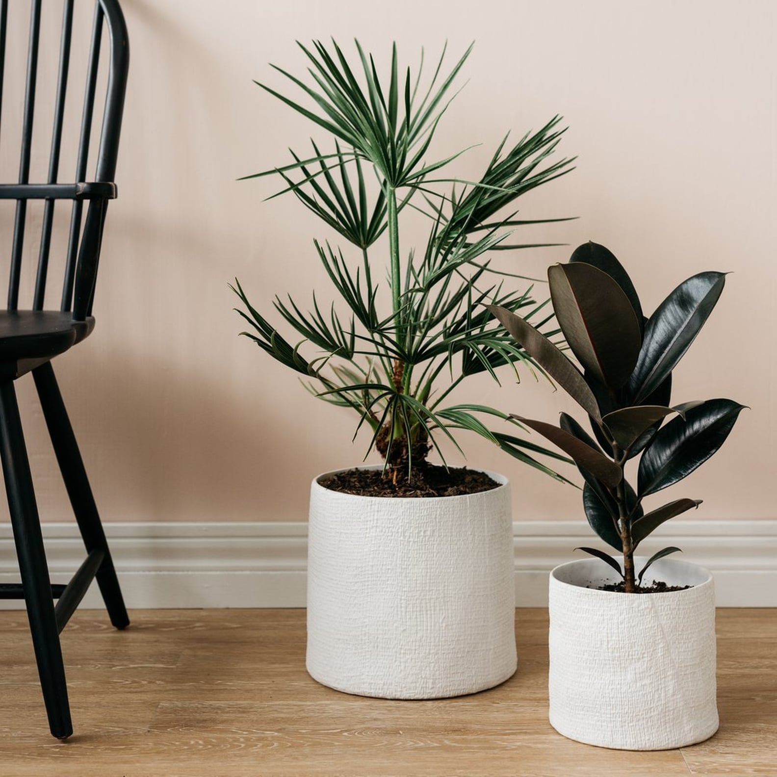 Magnolia Home Spring Collection | PS Home