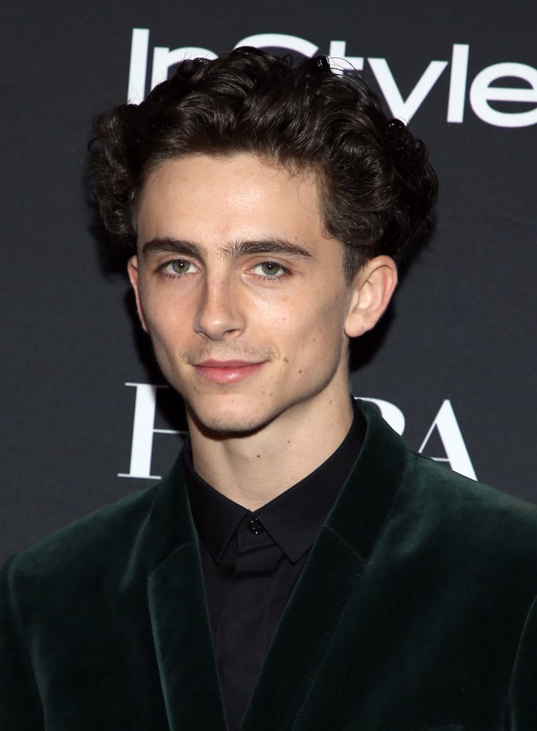 Hot Timothée Chalamet Pictures | POPSUGAR Celebrity UK Photo 3