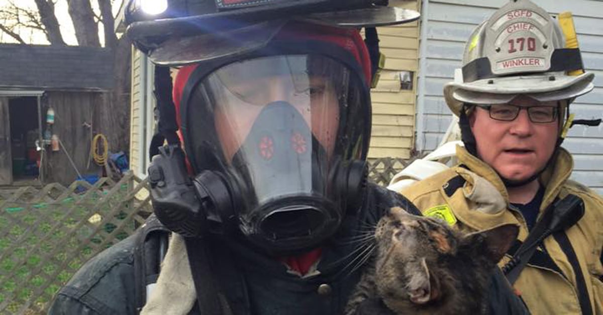 Firefighters Rescue Cats From House Fire | PS Pets