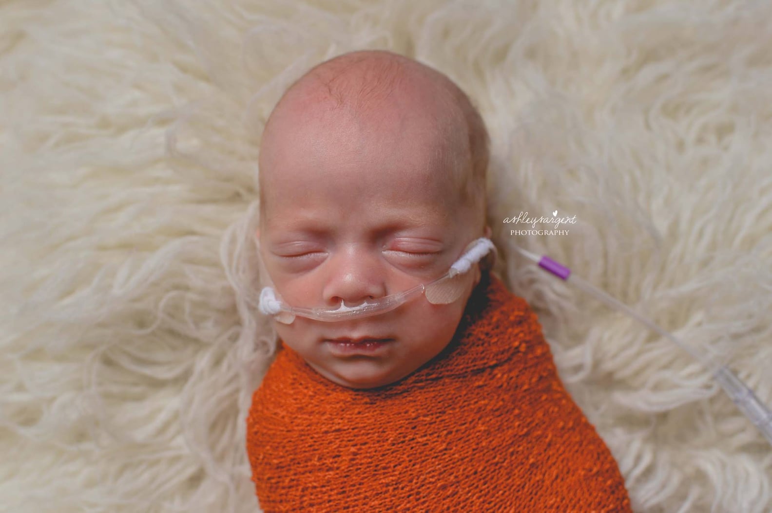 Rainbow Sextuplets Photo Shows Babies' Birth Order | PS Family