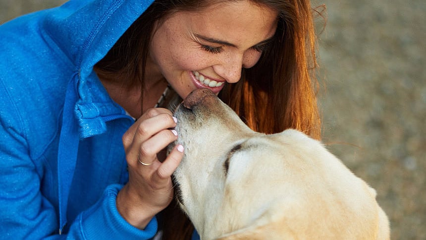 How Animals Are Like People | POPSUGAR Pets