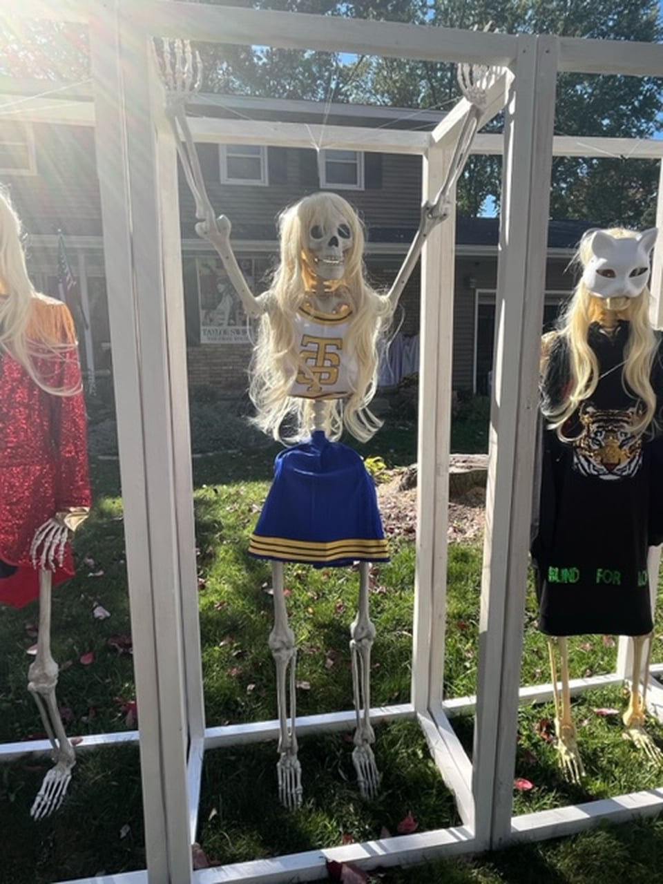 Taylor Swift Eras-Themed Halloween Decor on TikTok | PS Home