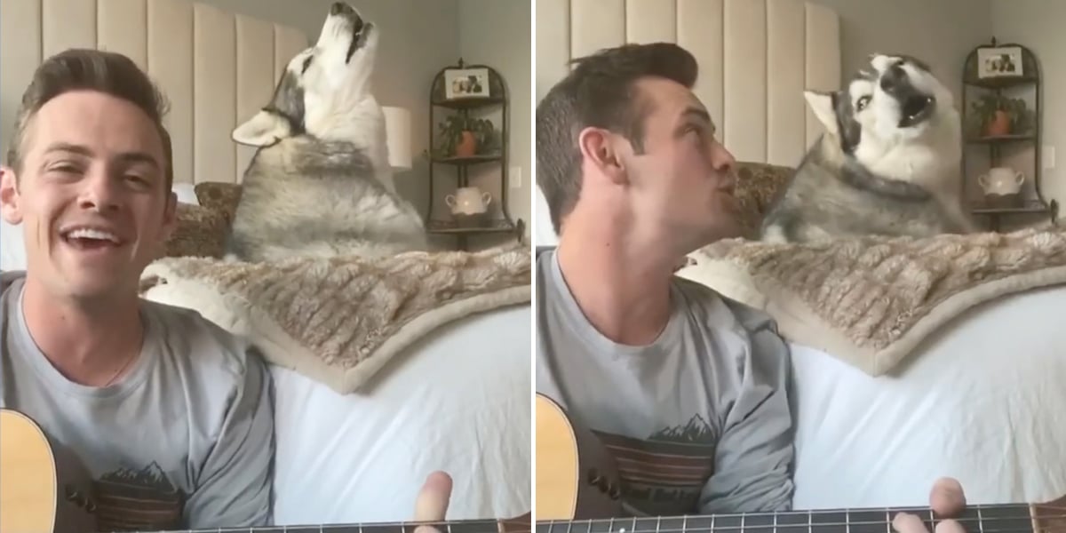 Hospital Worker Harmonizes With Husky For "Lean on Me" Cover | PS Pets
