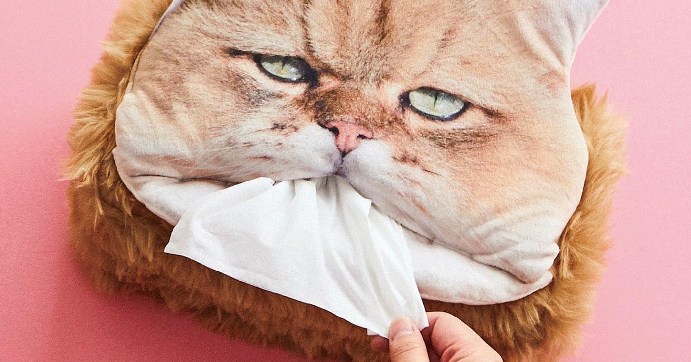 Cat tissue box store