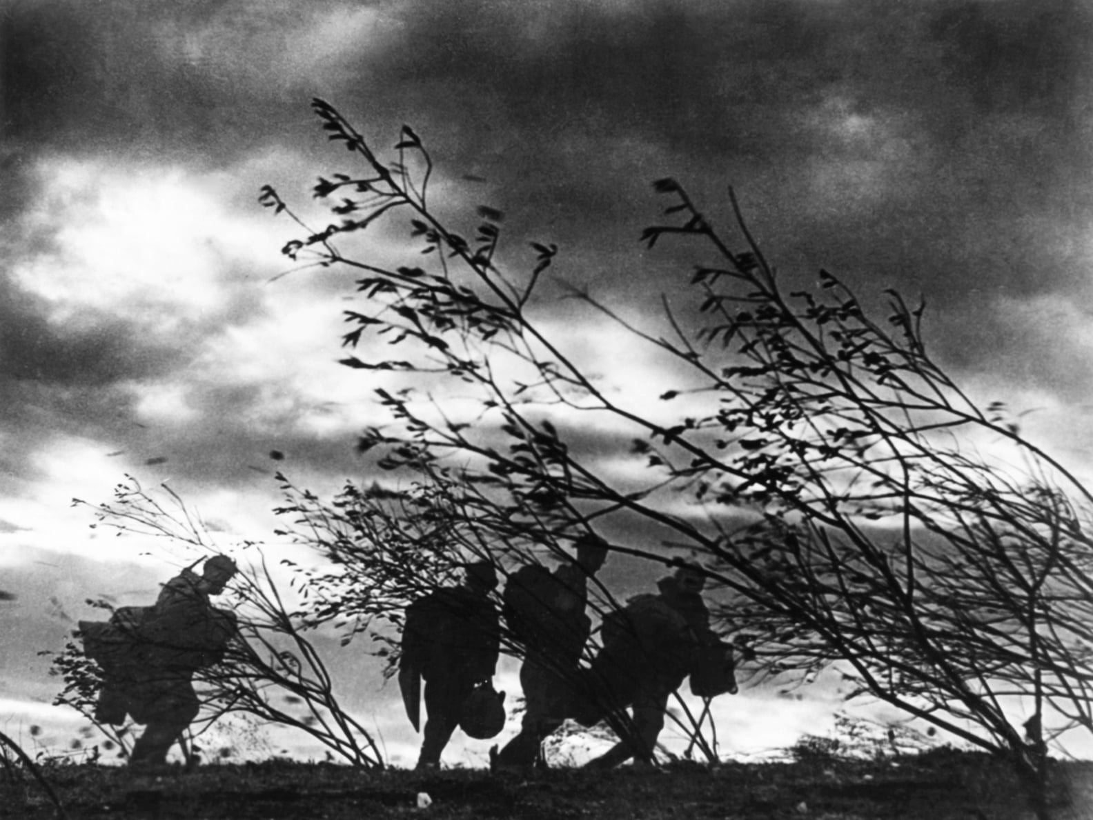 Star Wars: Episode VIII Details | PS Entertainment