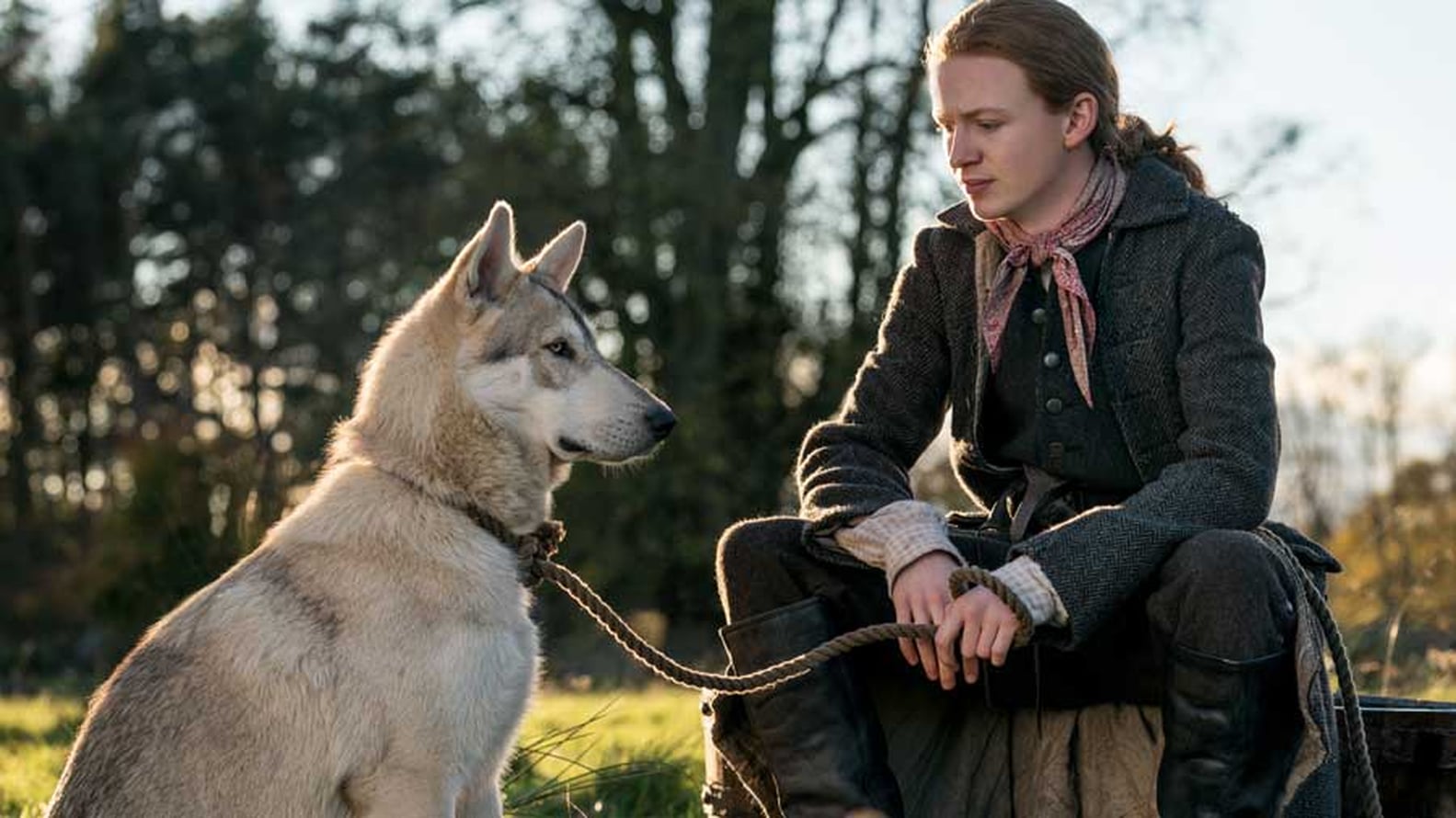 What Breed of Dog Is Rollo on Outlander? | PS Entertainment